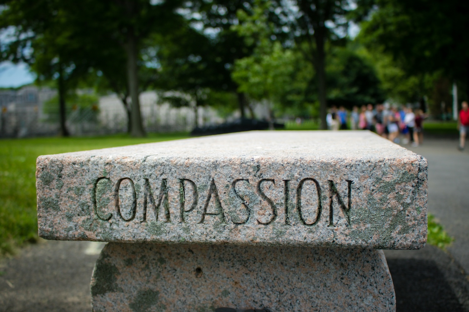 The Role of Self-Compassion in Enhancing Self-Esteem: Connections with ...