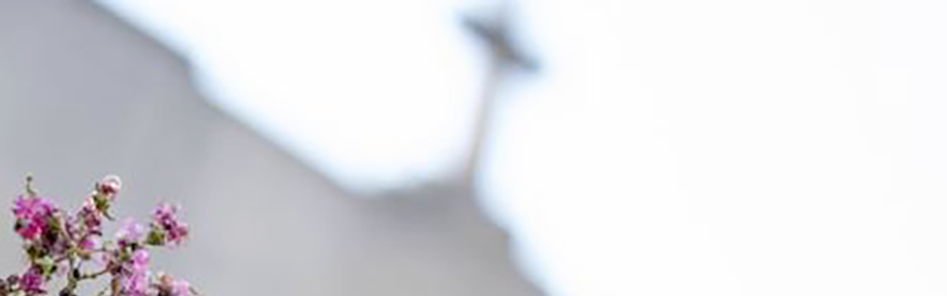 About | Holy Family University