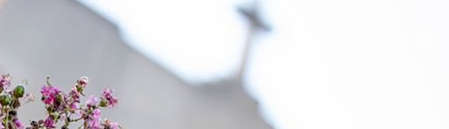 About Holy Family University | Higher Education Philadelphia